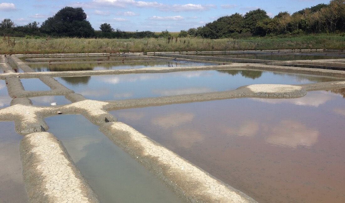 Harvesting Guerande Salt: Not A Disappearing Art. Yet.